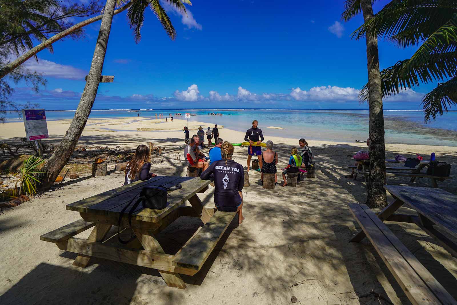 Swimming with Turtles: Choosing the Best Turtle Tour in Rarotonga ...